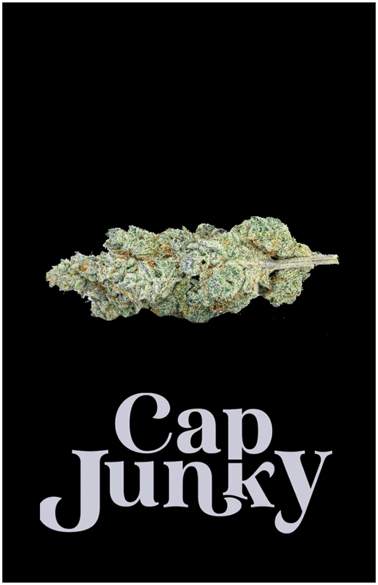 CAP JUNKY – sixty seven sins