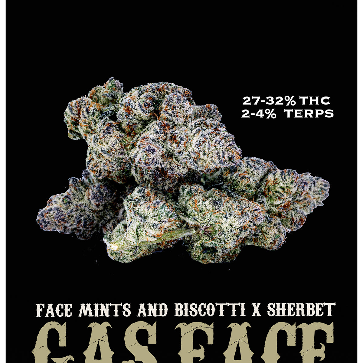 GAS FACE – sixty seven sins