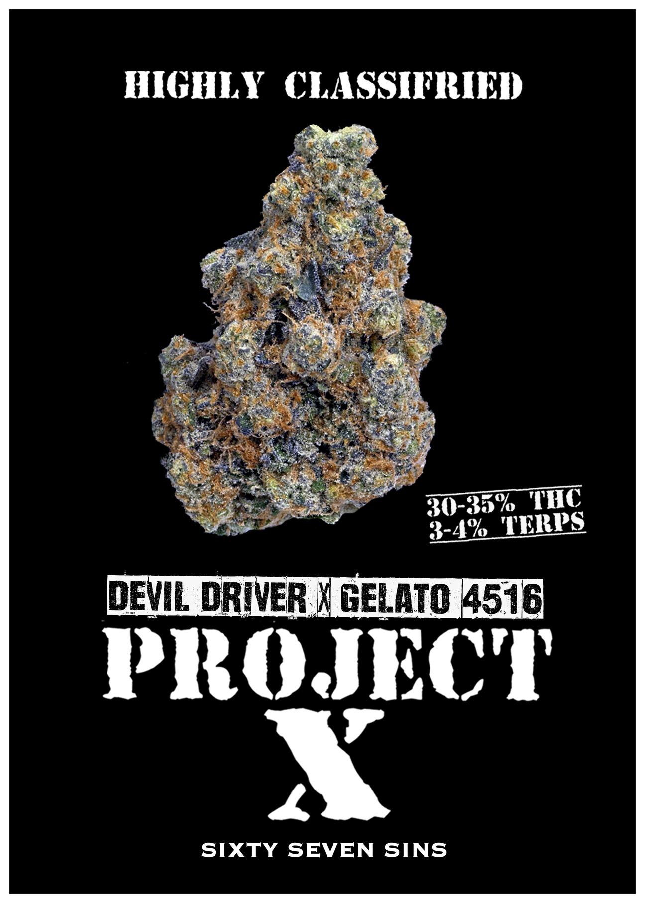 PROJECT X – sixty seven sins